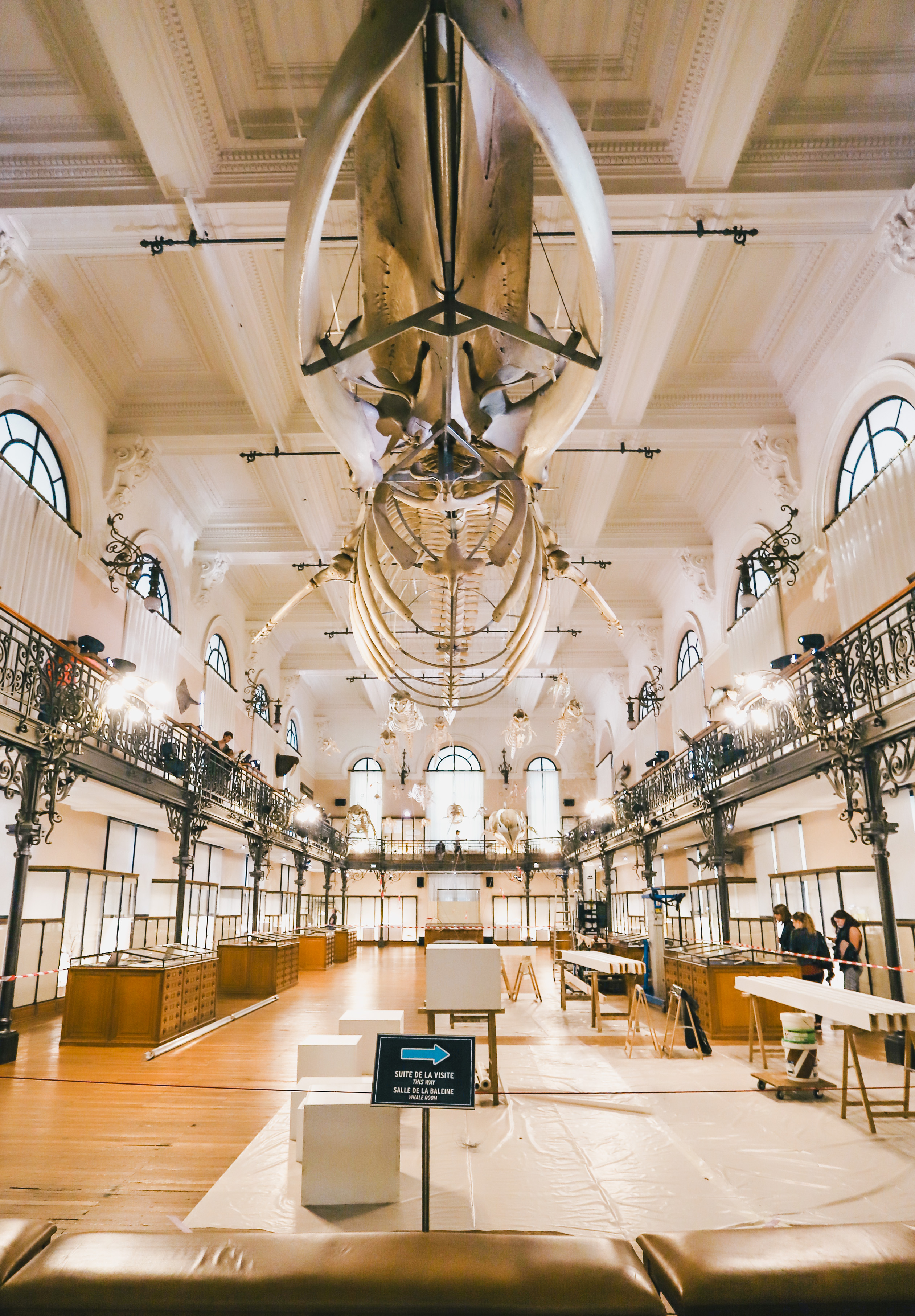 The 15 Best Things To Do in Monaco - Adventure at Work